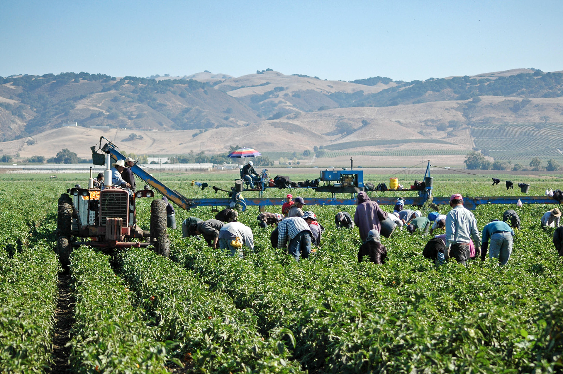 fieldWorkers - Ranch Systems