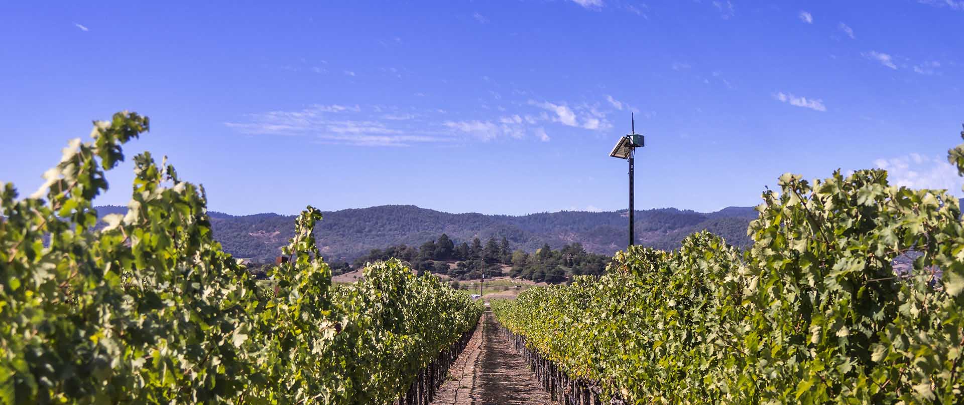 Home - Ranch Systems